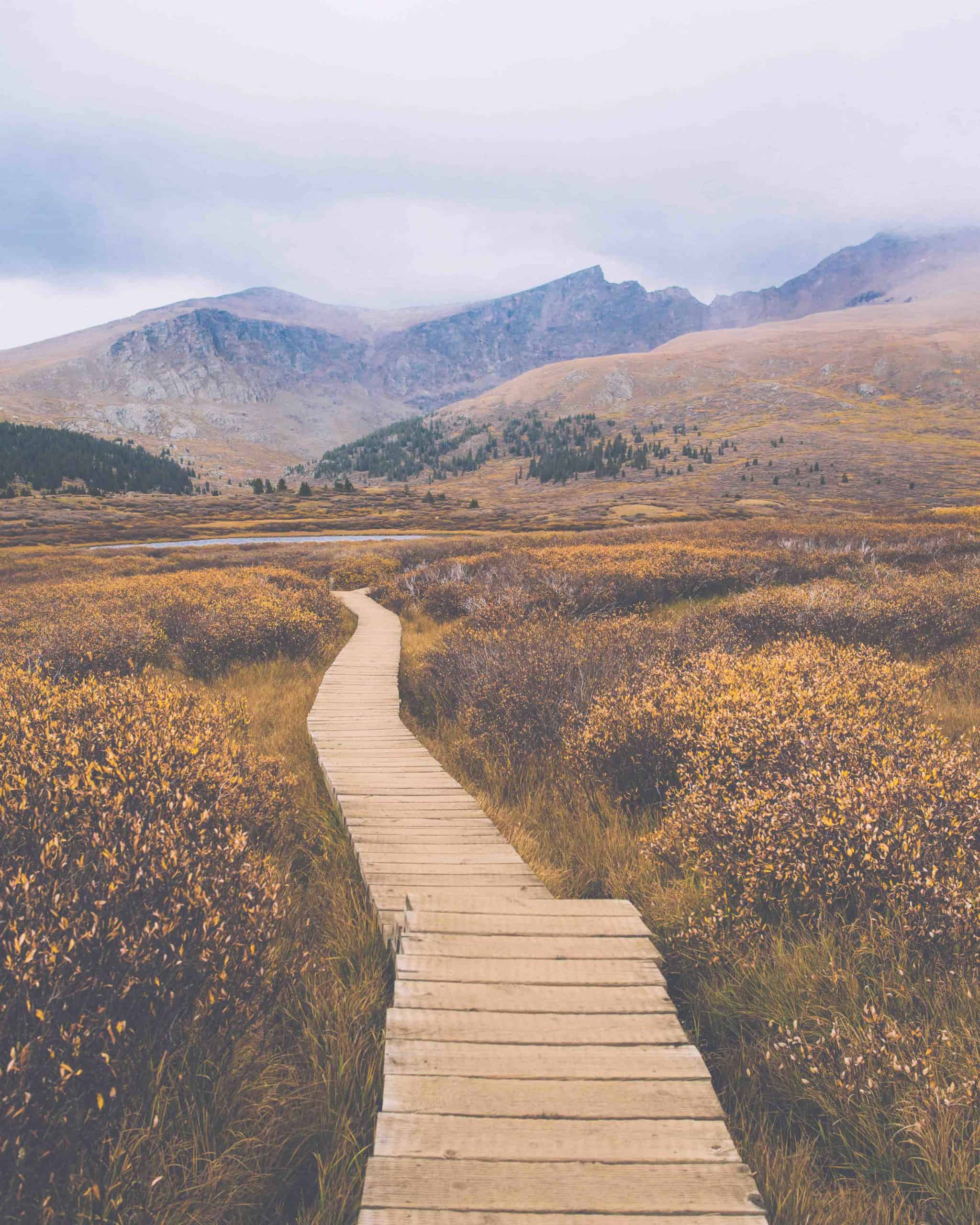 Self Awareness Meditation & Script to Find An Inner Calm